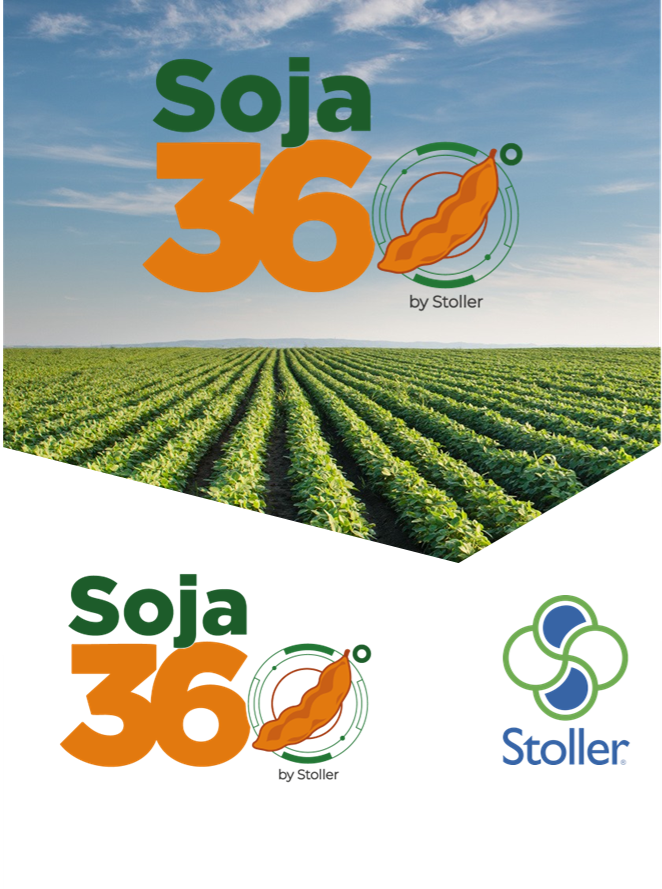 Plataforma Share Stoller: Categorias de Cursos